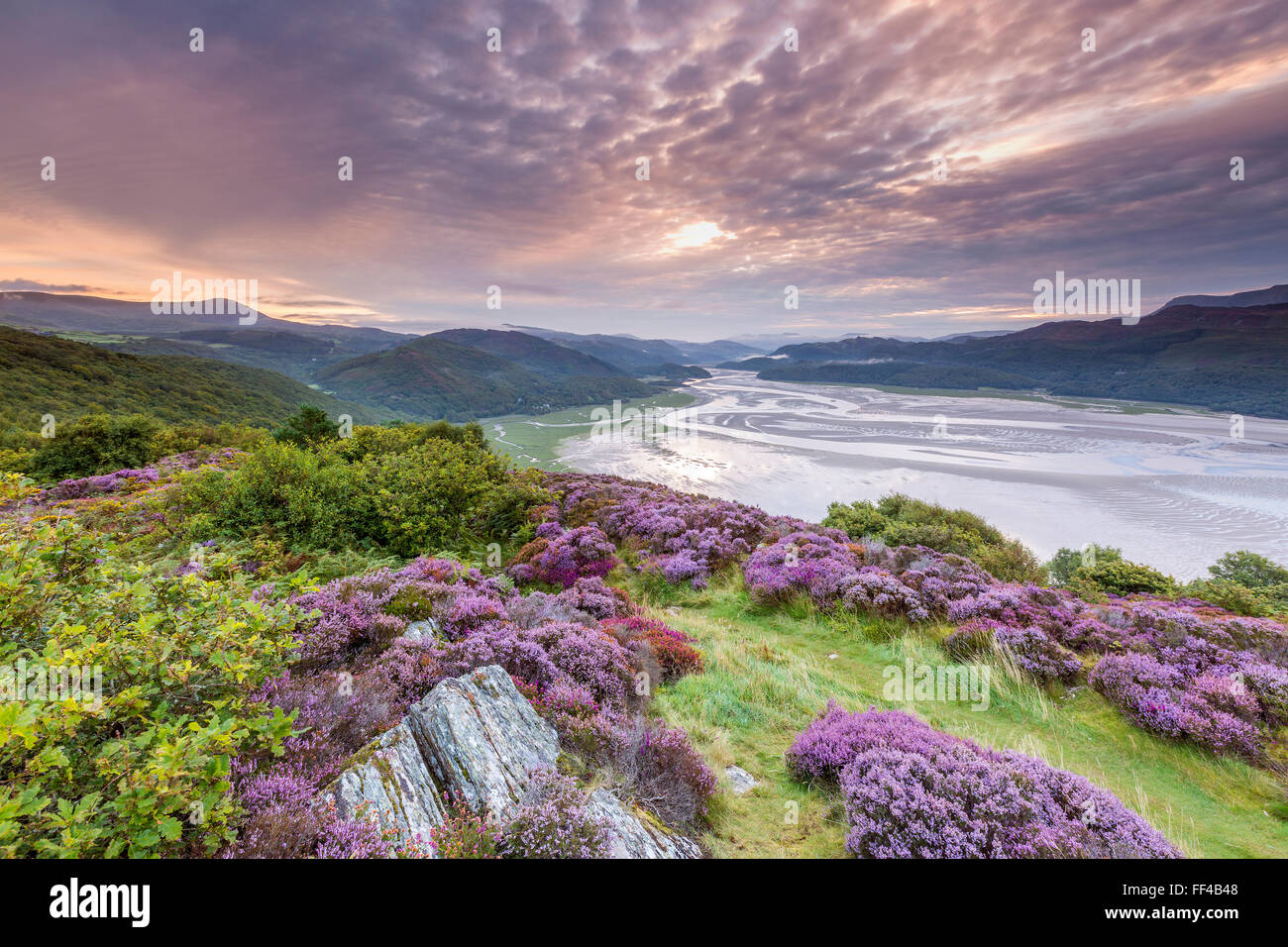 Mawddach Estuary seen from the Panorama Walk above Barmouth, Gwynedd ...