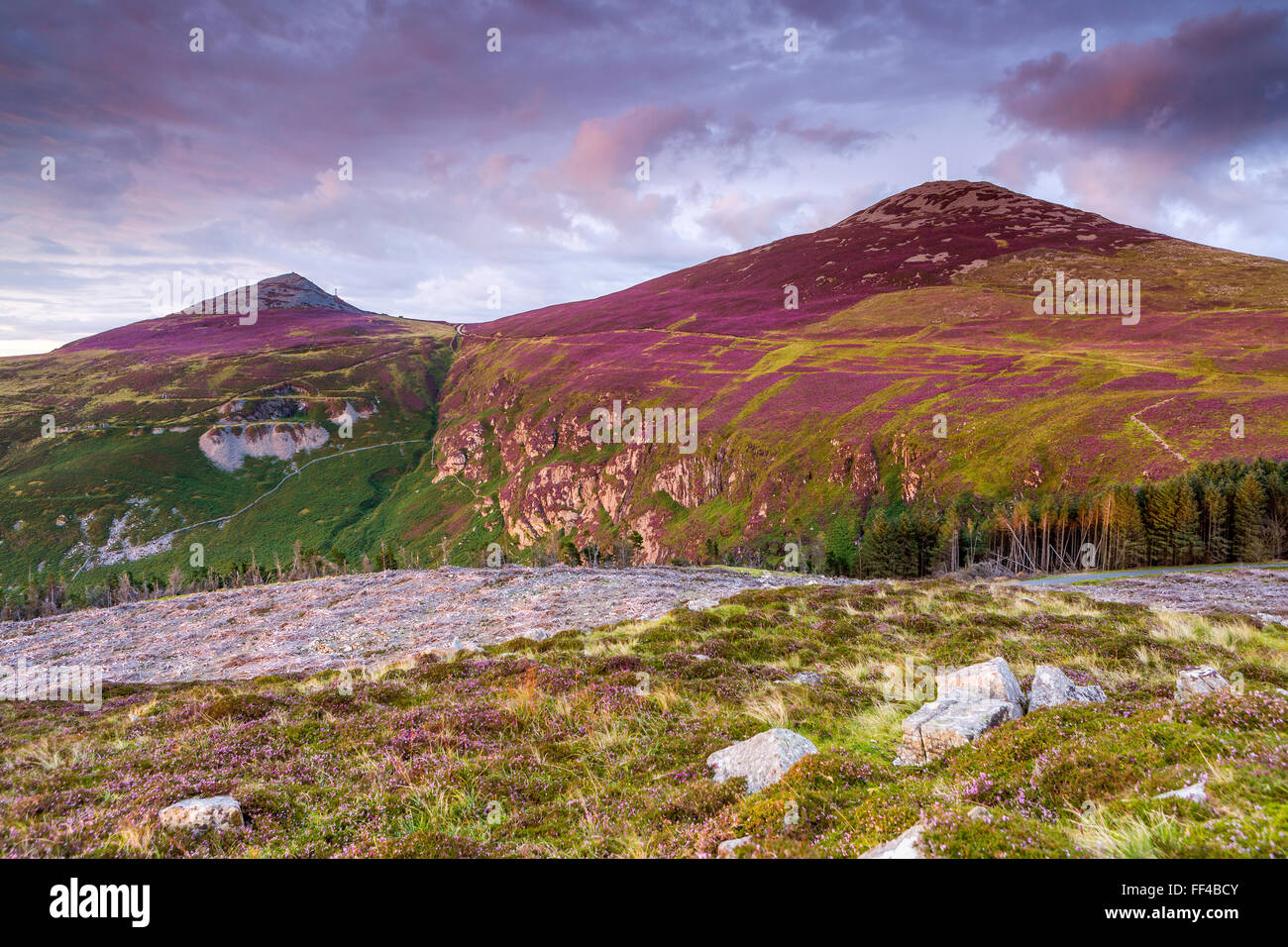 Yr eifl hi-res stock photography and images - Alamy