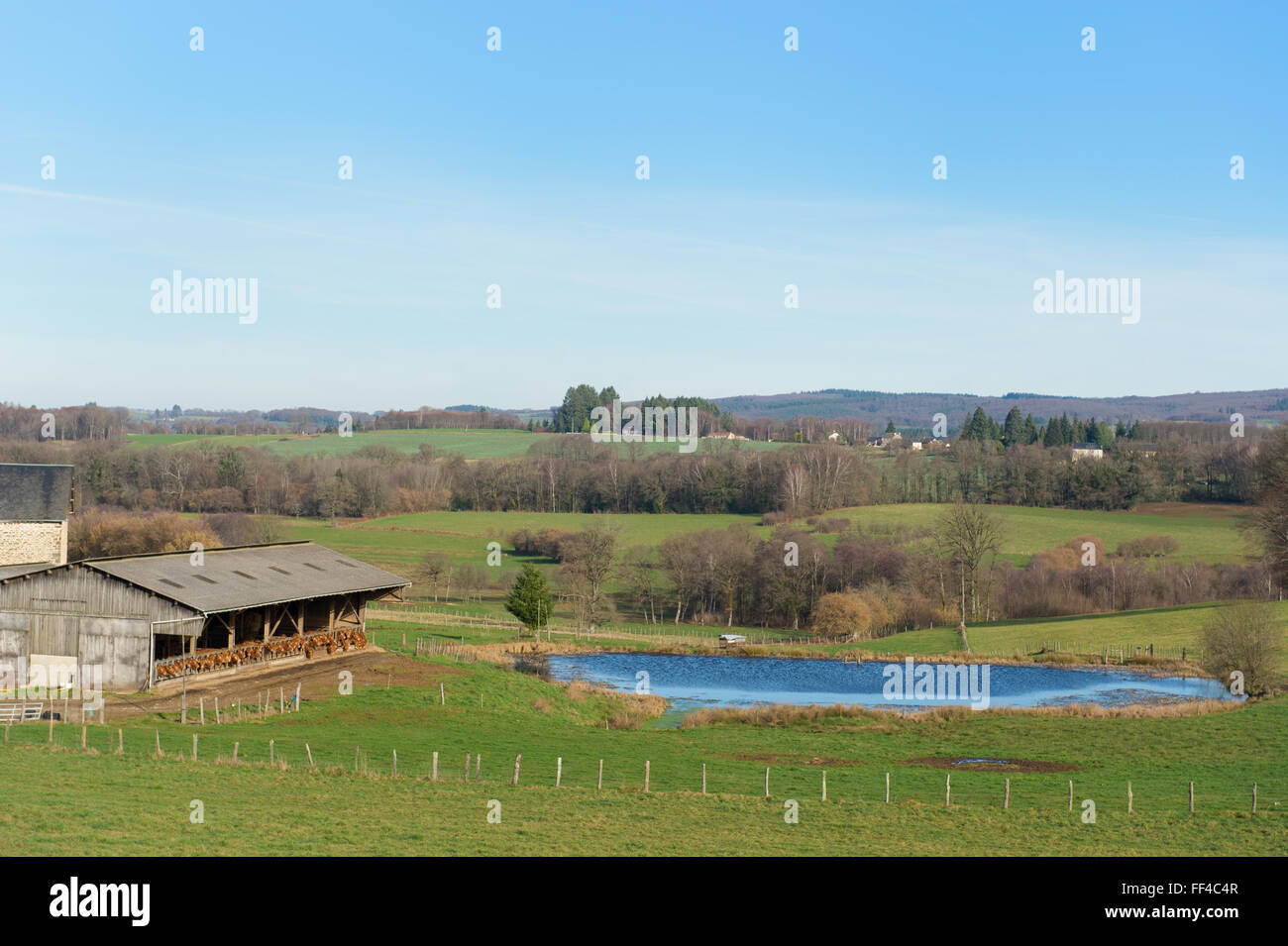 French landscape in Limousin with cows in stable Stock Photo - Alamy