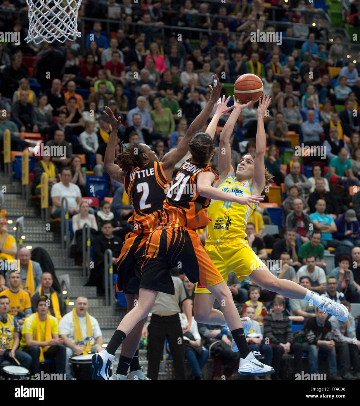 Marta alba hi-res stock photography and images - Alamy