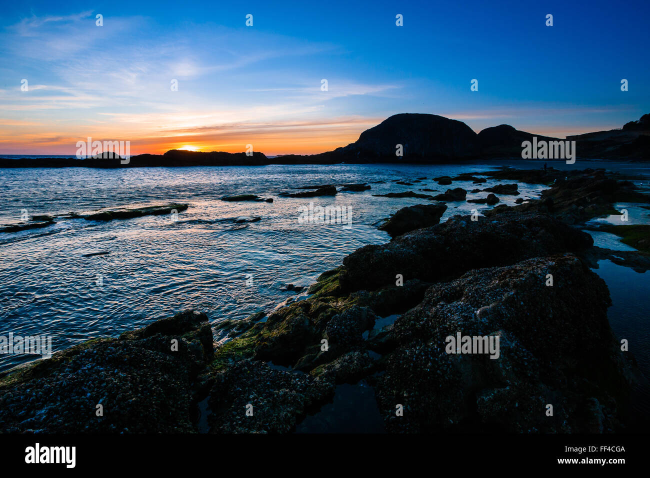 Seal rocks oregon coast hi-res stock photography and images - Alamy