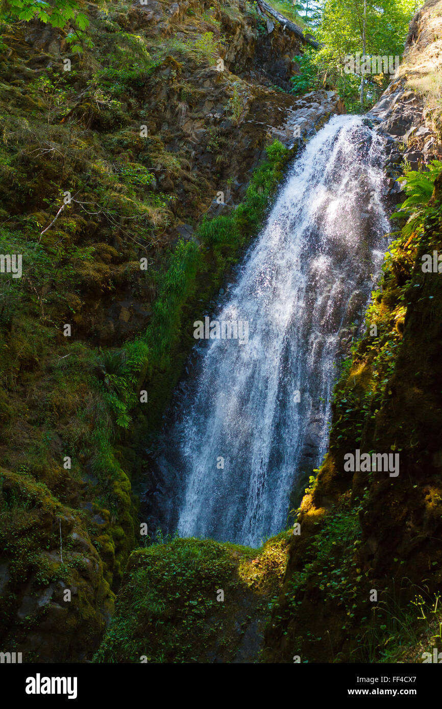 Susan Creek Falls in the Umpqua National Forest. This waterfall is ...