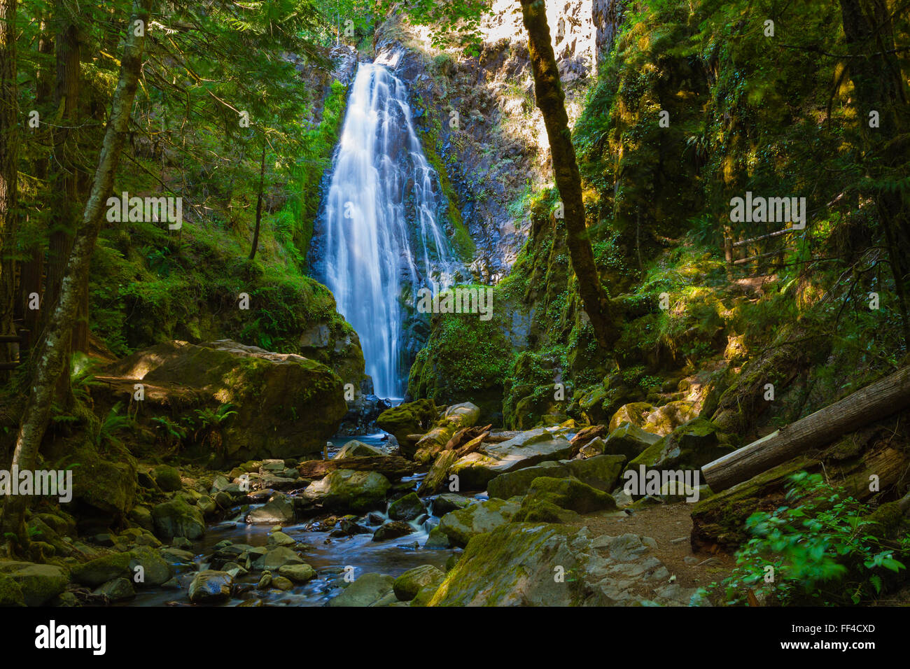 Susan Creek Falls in the Umpqua National Forest. This waterfall is ...