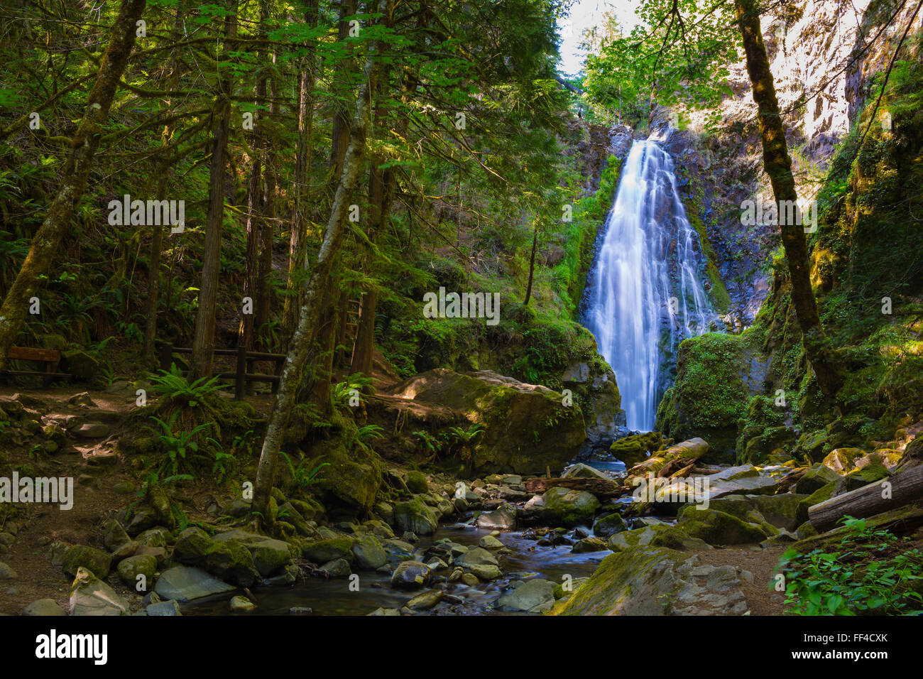 Susan Creek Falls in the Umpqua National Forest. This waterfall is ...