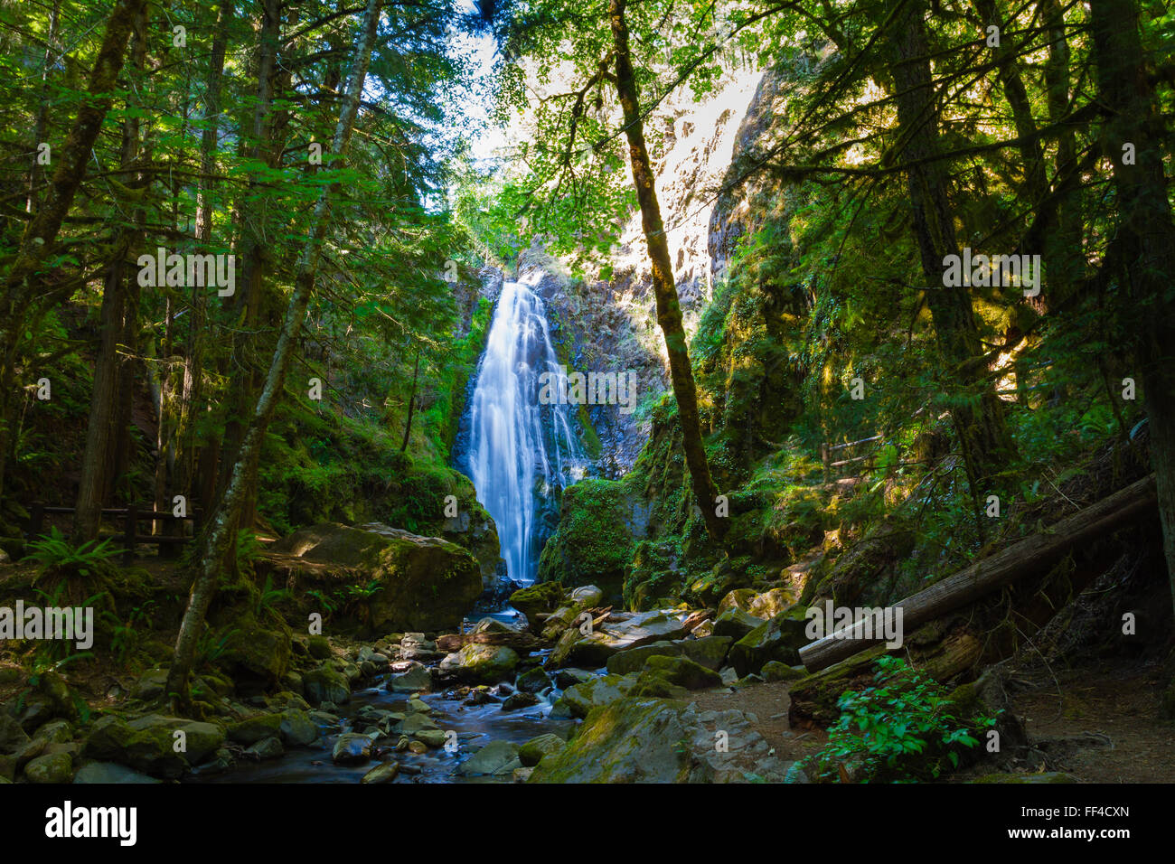 Susan Creek Falls in the Umpqua National Forest. This waterfall is ...