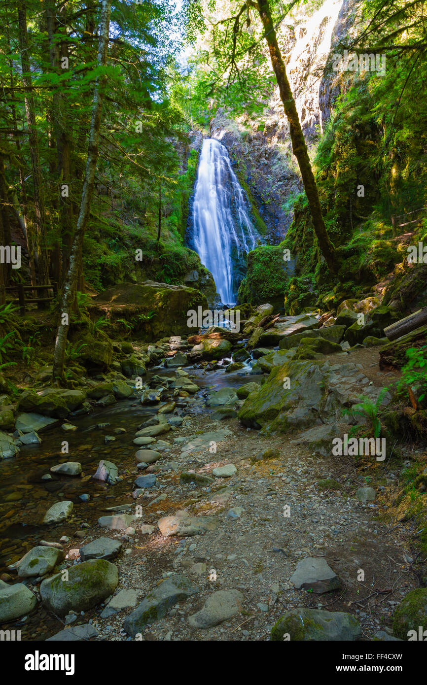 Susan Creek Falls in the Umpqua National Forest. This waterfall is ...