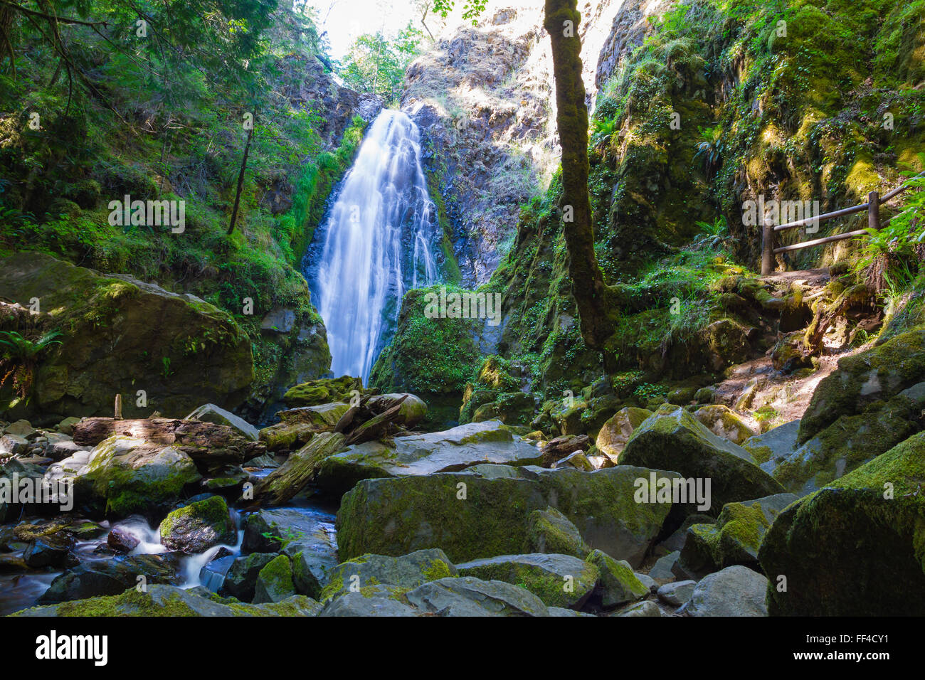 Susan Creek Falls in the Umpqua National Forest. This waterfall is ...