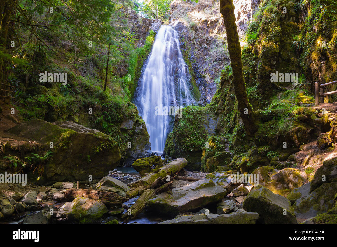 Susan Creek Falls in the Umpqua National Forest. This waterfall is ...