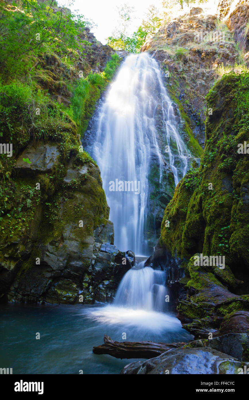 Susan Creek Falls in the Umpqua National Forest. This waterfall is ...