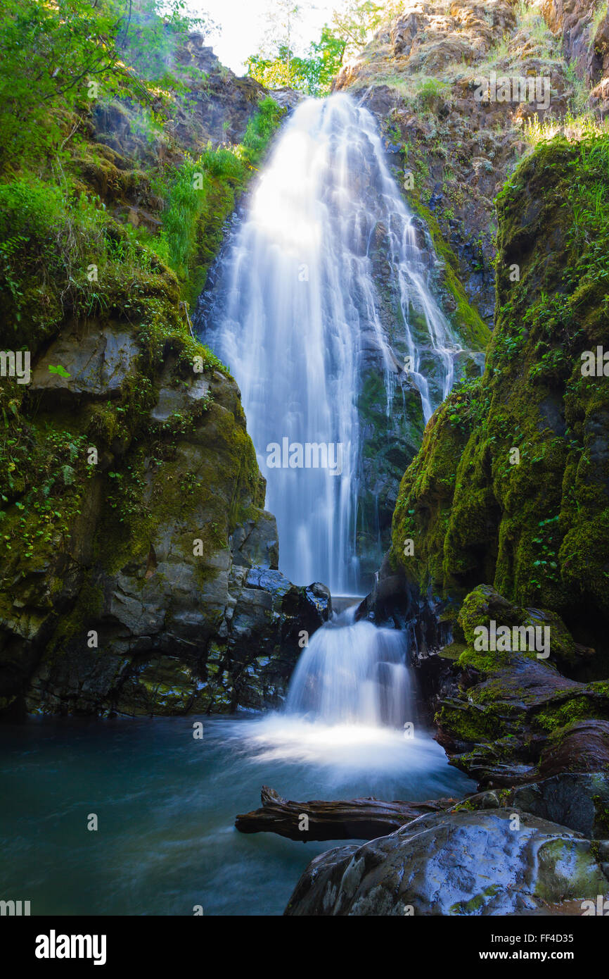 Susan Creek Falls in the Umpqua National Forest. This waterfall is ...