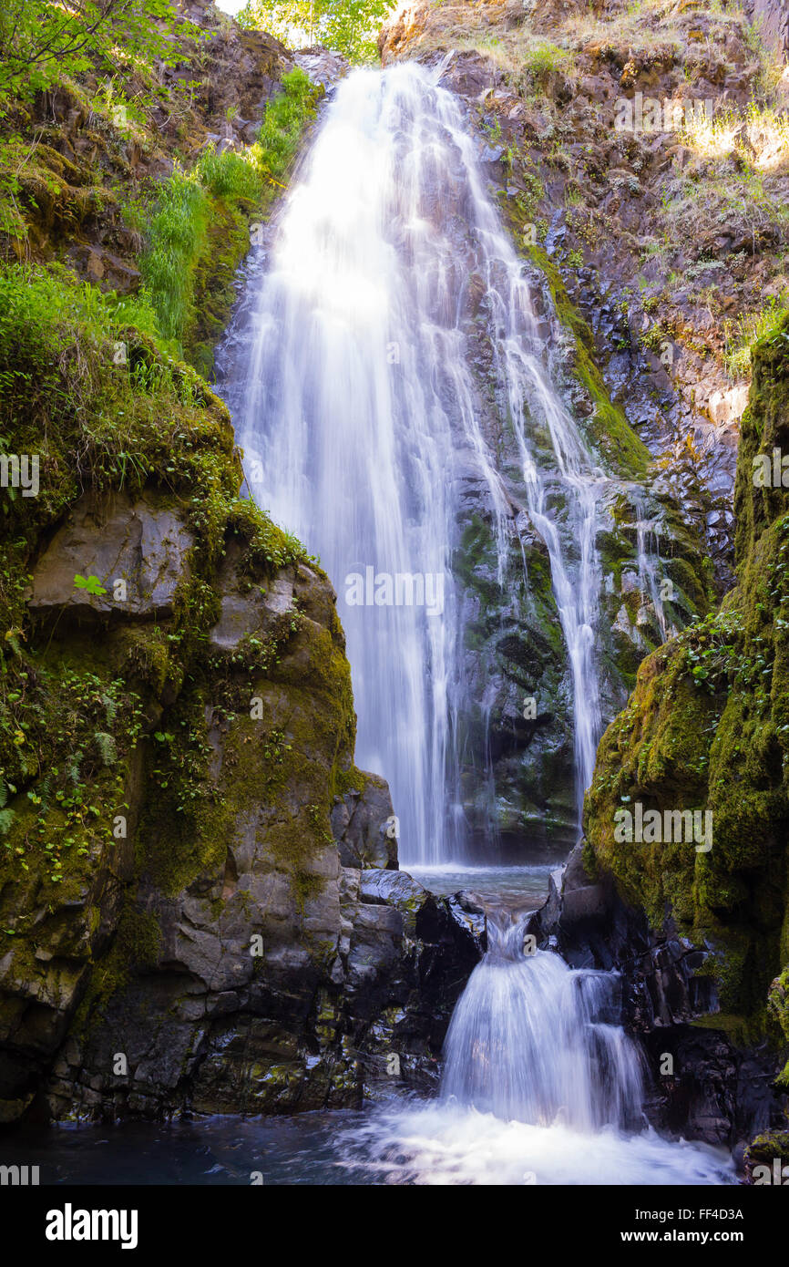 Susan Creek Falls in the Umpqua National Forest. This waterfall is ...