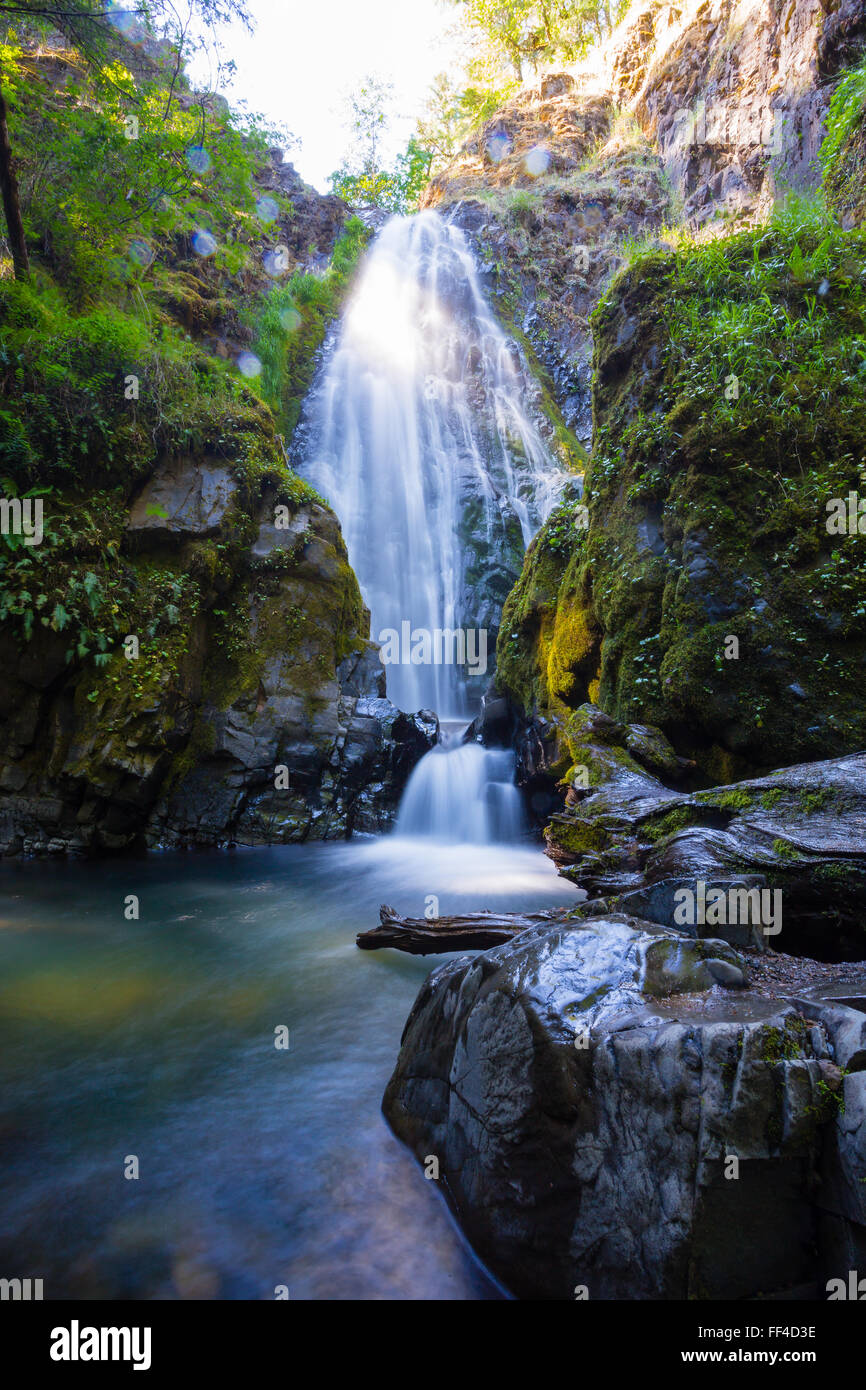 Susan Creek Falls in the Umpqua National Forest. This waterfall is ...