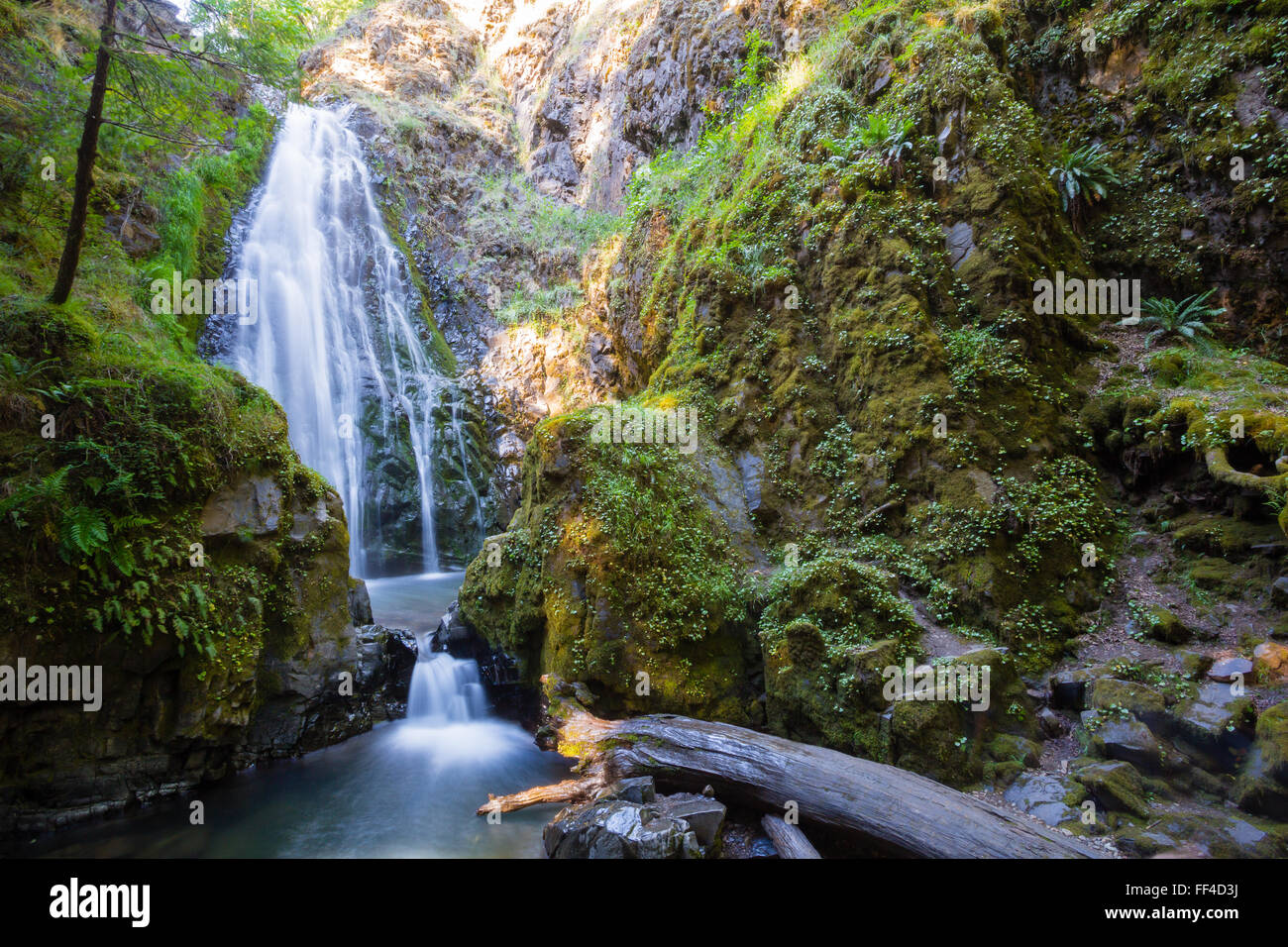Susan Creek Falls in the Umpqua National Forest. This waterfall is ...