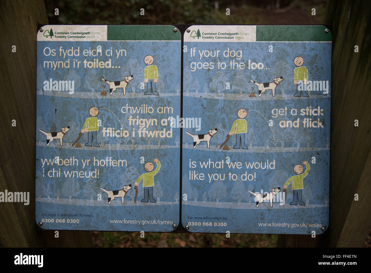 Welsh Forestry Commission sign regarding dog mess Stock Photo - Alamy