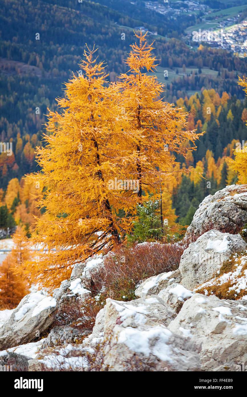 One colour hi-res stock photography and images - Alamy