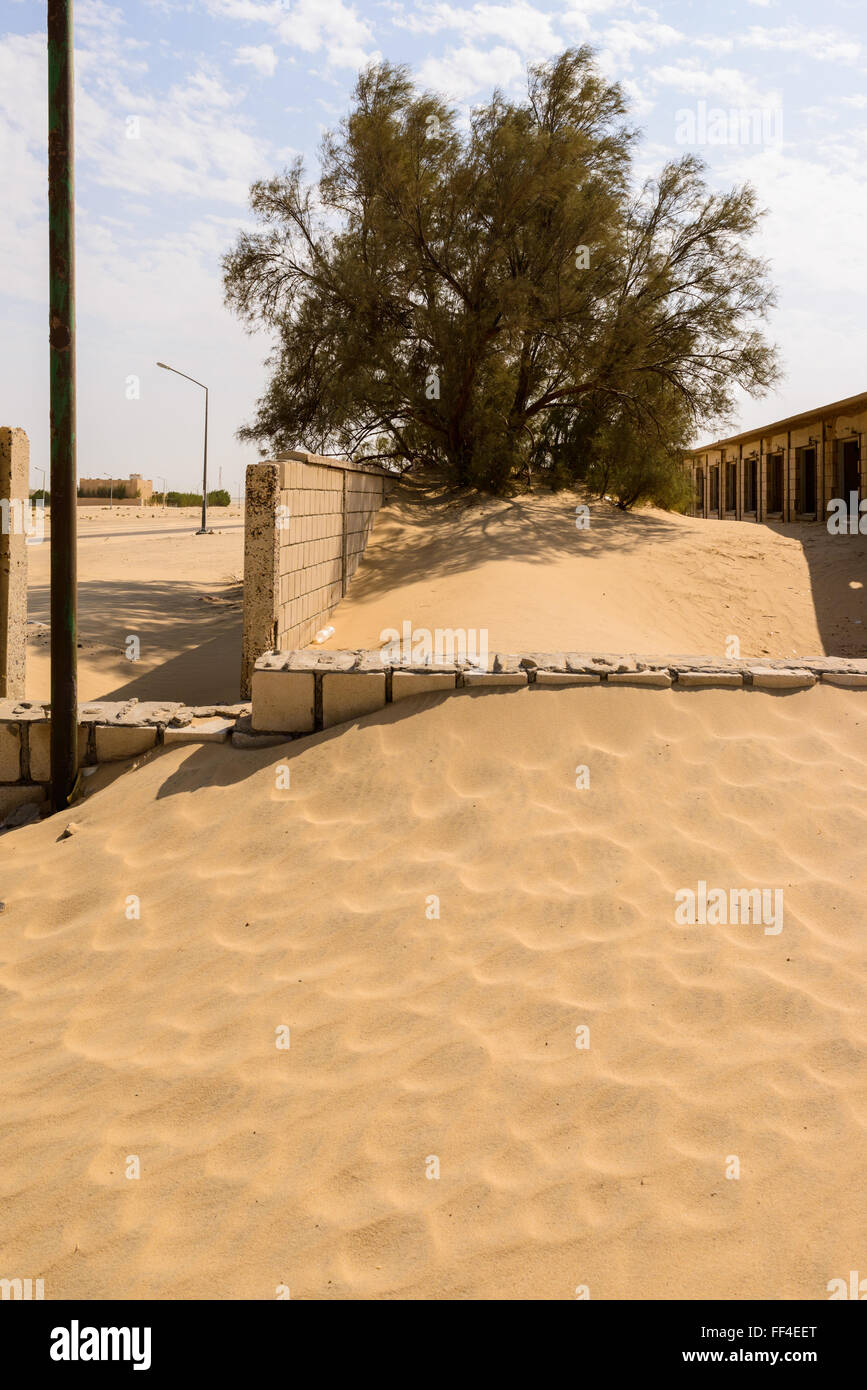 Wafra hi-res stock photography and images - Alamy