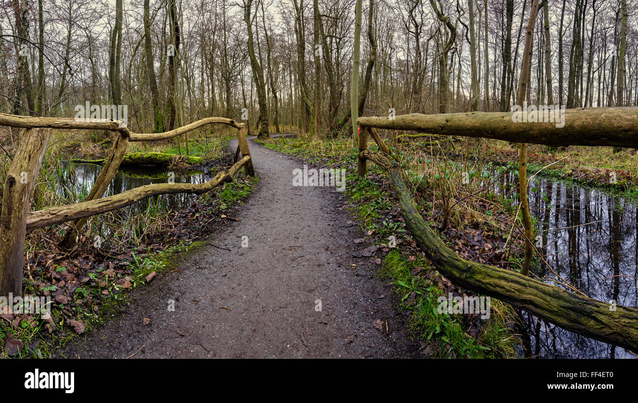 Swamp bridge hi-res stock photography and images - Alamy