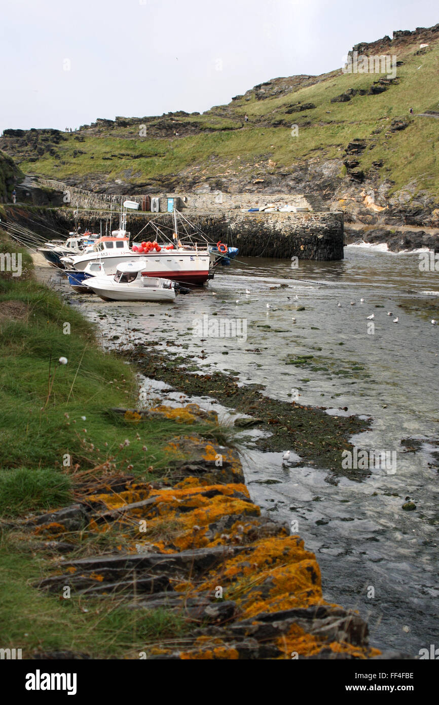 Boscastle walk hi-res stock photography and images - Alamy