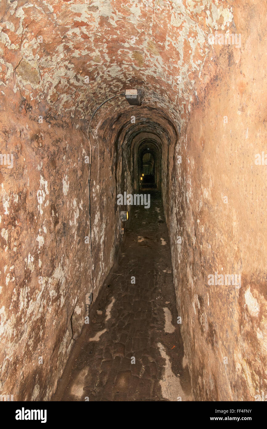 An entrance tunnel at Levant Tin MIne in Cornwall, UK Stock Photo - Alamy