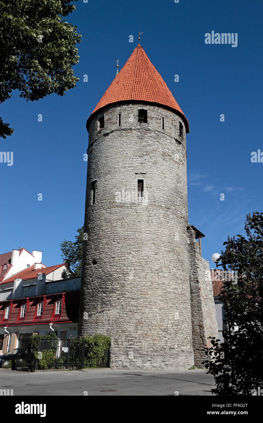 Plate Tower (Plate torn), part of the city walls and towers of the Old ...