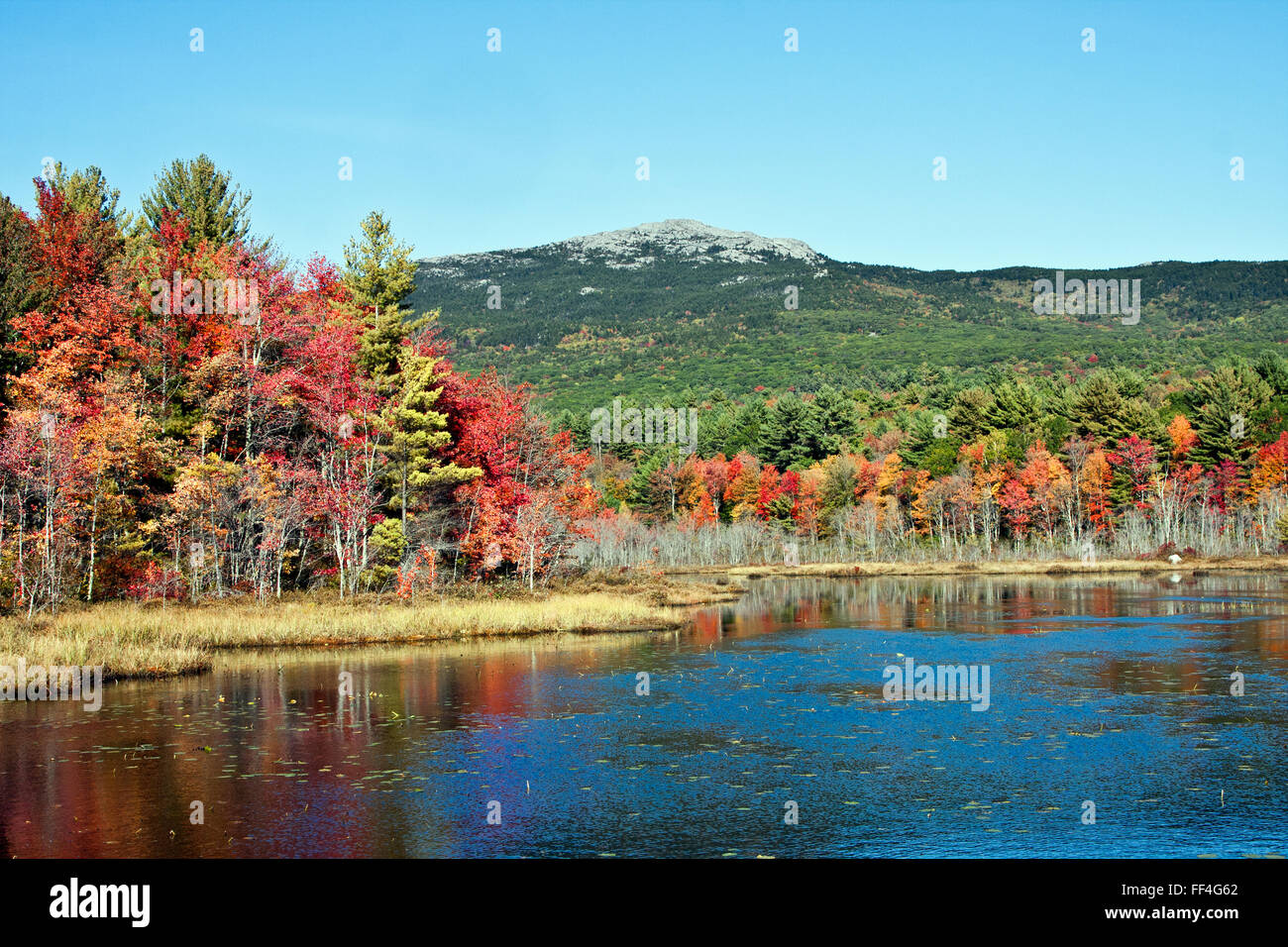 New Hampshire, colorful fall foliage along ponds, roadway and fields ...