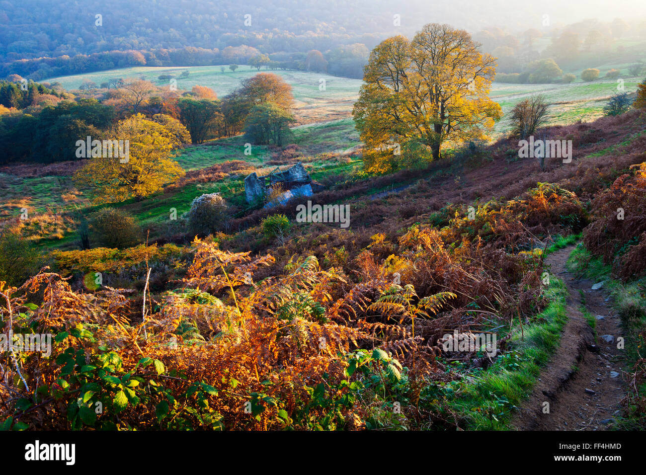 View south west over Pentyrch from the Garth Mountain, South Wales ...