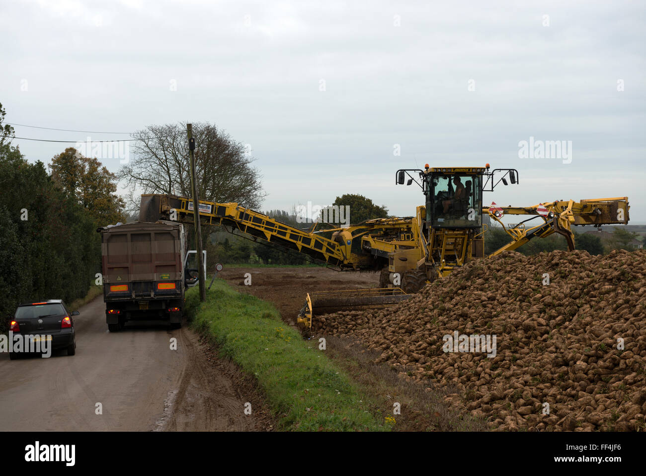 German manufactured sugar beet loader Stock Photo - Alamy