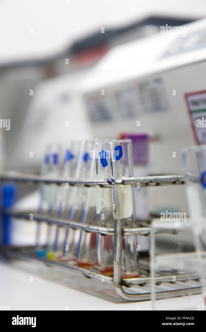 Empty test tubes in a rack hi-res stock photography and images - Alamy