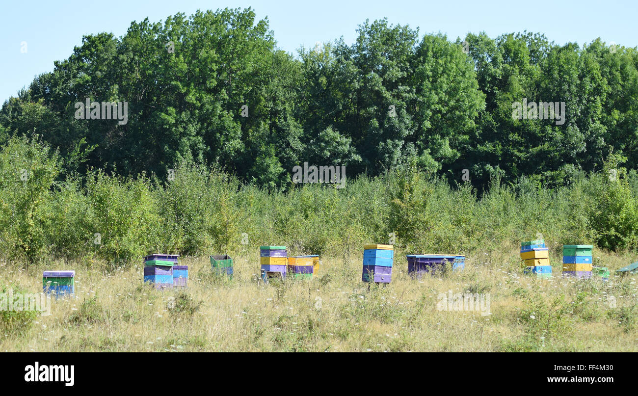 Colourful beehives. Small apiary in the foothills Stock Photo - Alamy