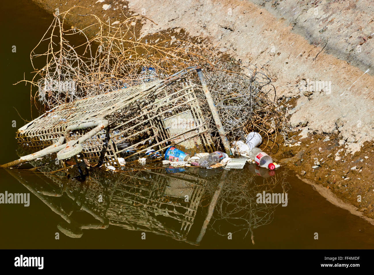 Trash floating in shallow water Stock Photo - Alamy