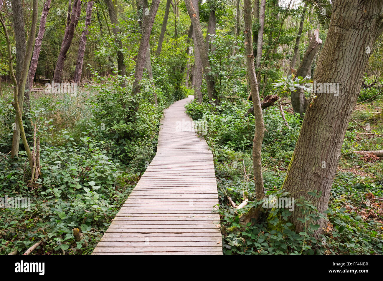Western boardwalk hi-res stock photography and images - Alamy