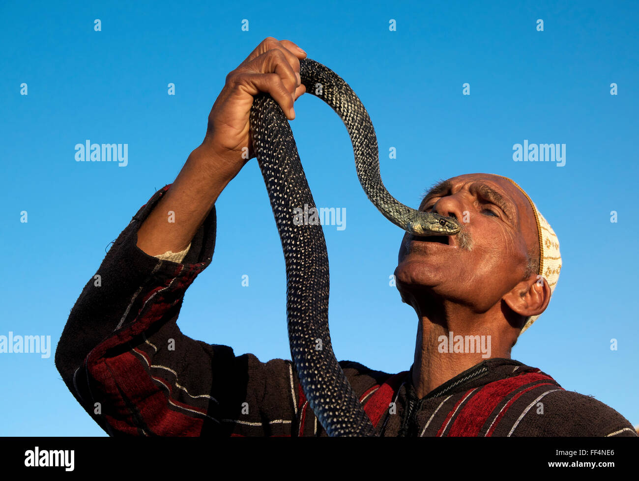 Person holding snake hi-res stock photography and images - Alamy