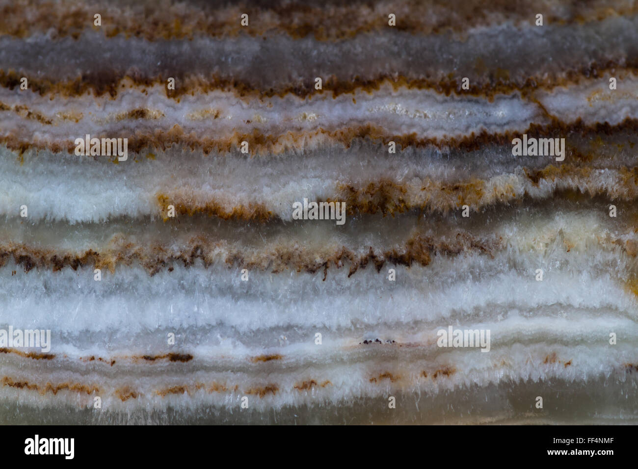 close up of a beautiful polished stone with a beautiful pattern with ...