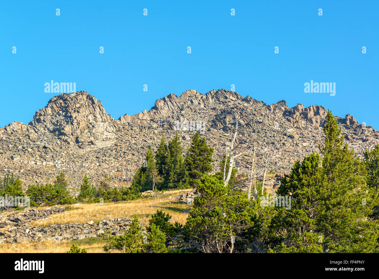 Wyoming environment hi-res stock photography and images - Alamy