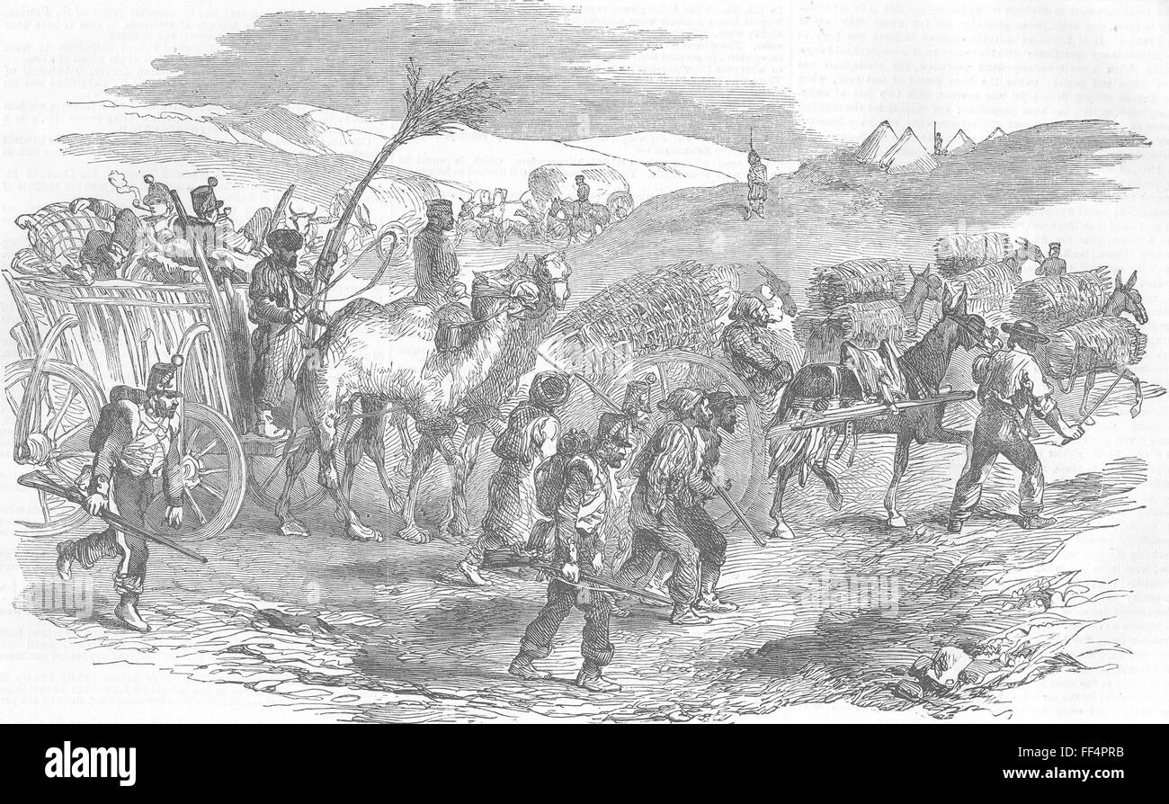 Fascines hi-res stock photography and images - Alamy