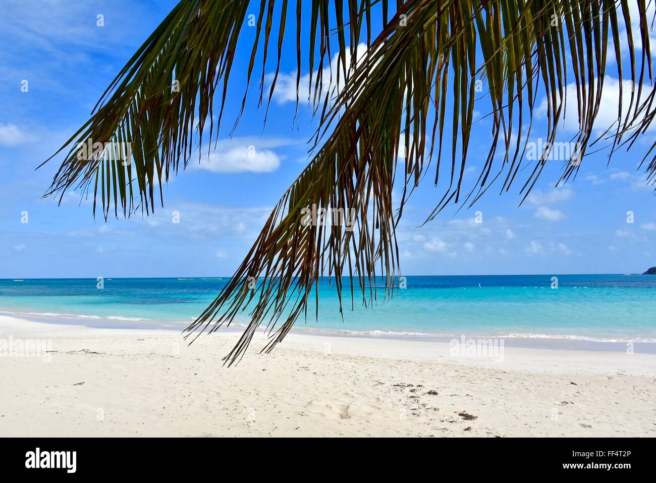 Flamenco beach Puerto Rico Stock Photo - Alamy