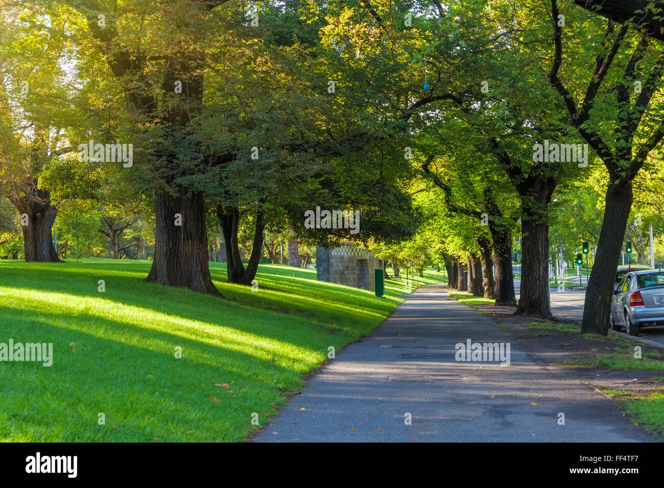 Empty beautiful footpath lined with green trees. St. Kilda Road in ...