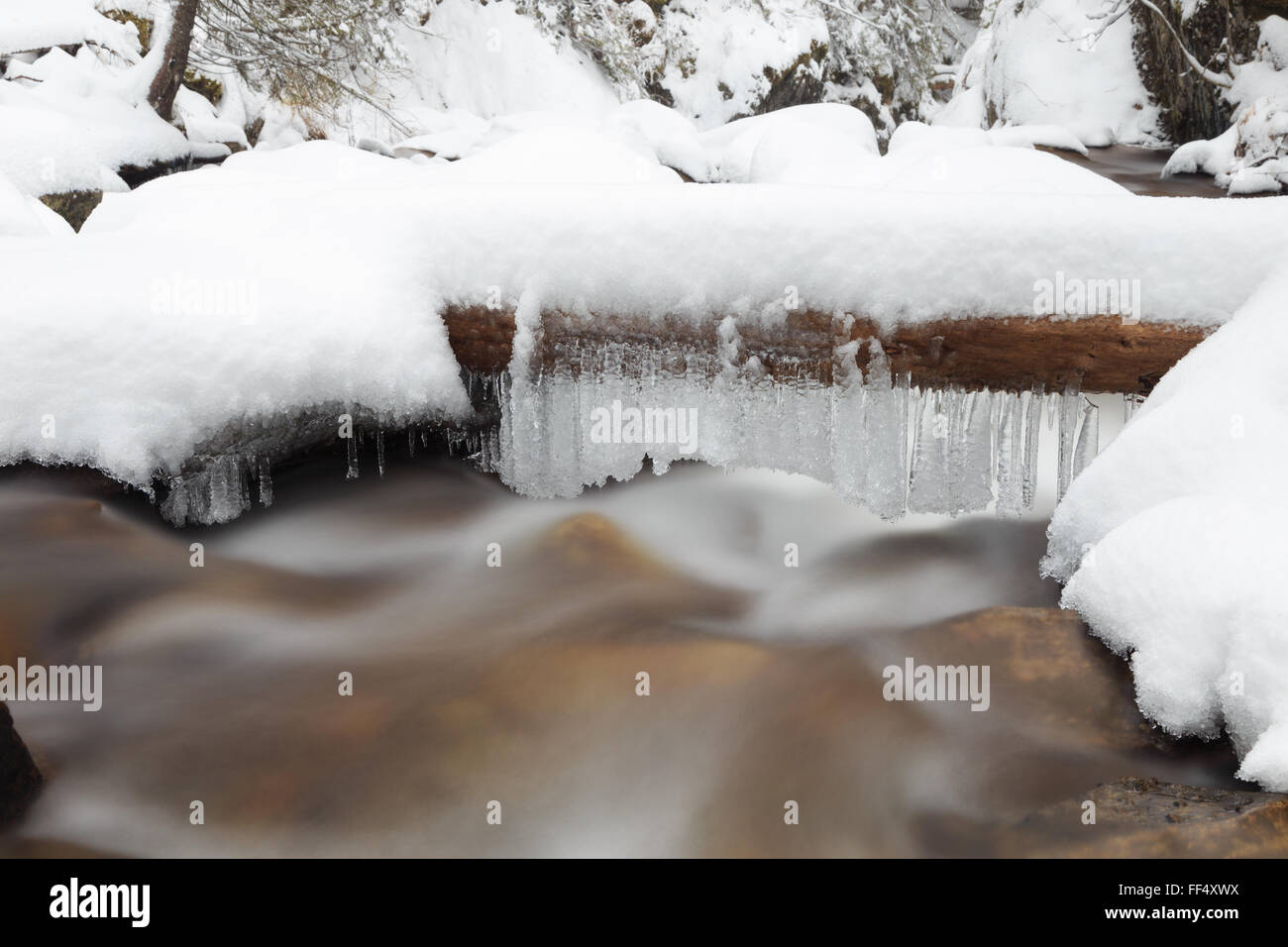 cold water of north river, russian forest, snowy river, river with ...