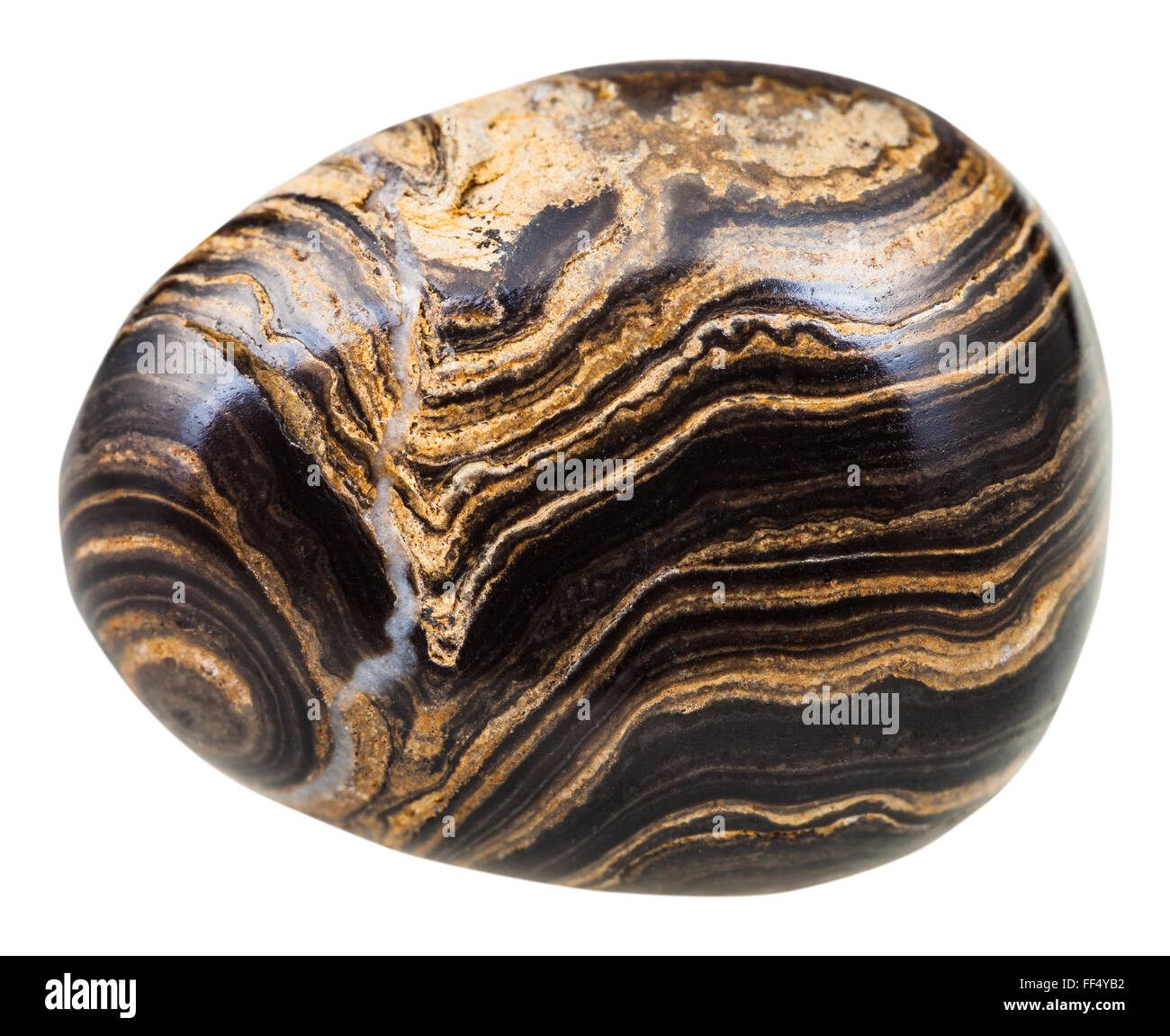 Stromatolite hi-res stock photography and images - Alamy