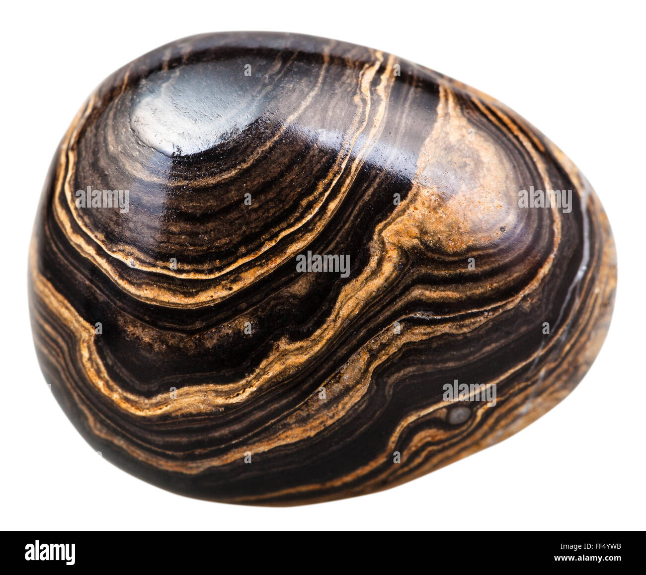 macro shooting of natural mineral stone - cabochon of Stromatolite ...
