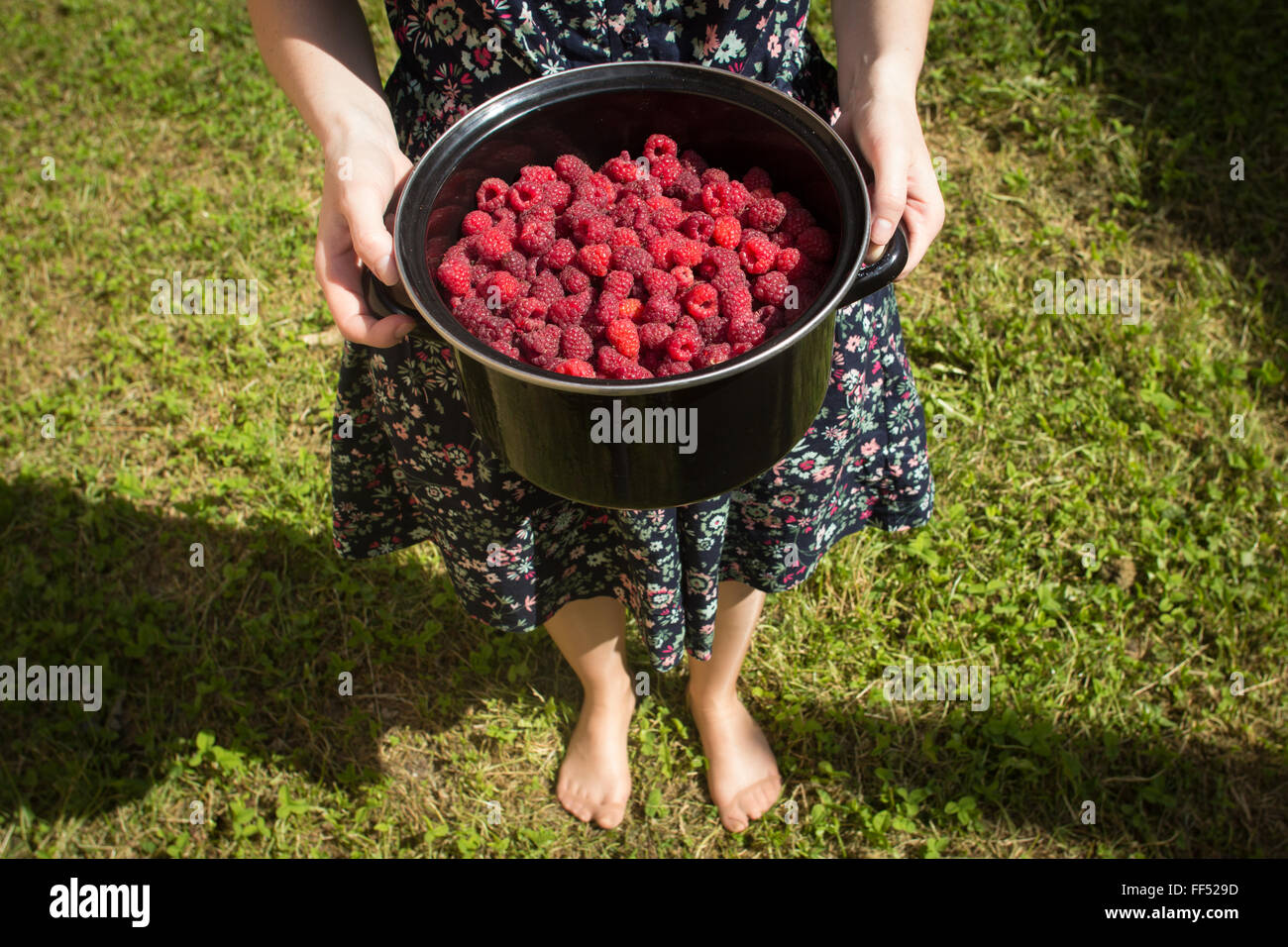 Holds fruit bowl hi-res stock photography and images - Alamy