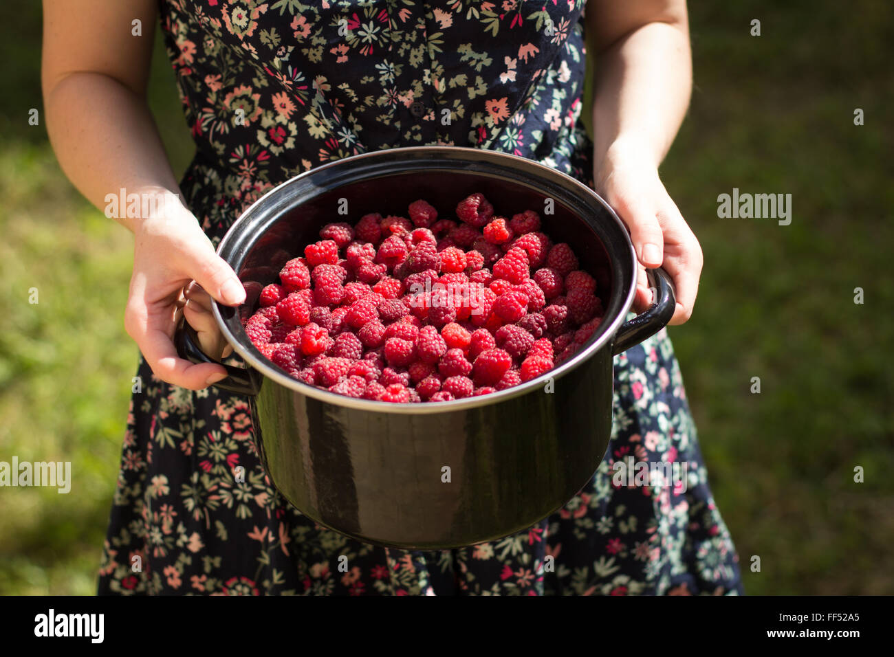 Woman holds big bowl of ripe raspberries Stock Photo - Alamy