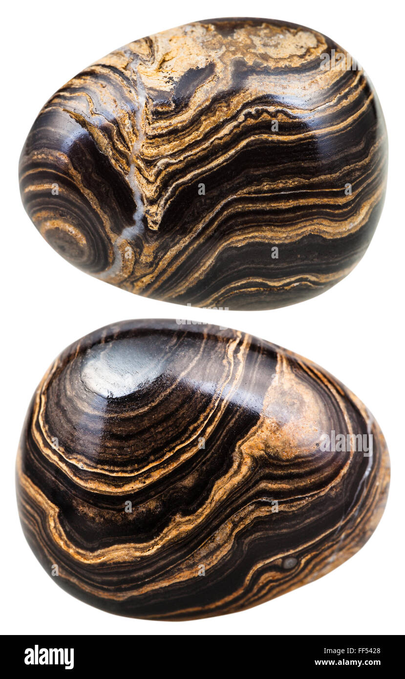 macro shooting of natural mineral stone - two tumbled Stromatolite ...