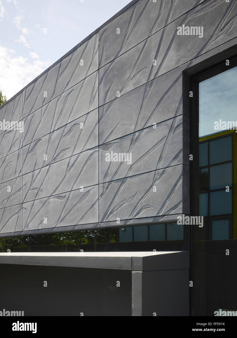 Detail of entrance and branch pattern facade. Project X, Almere ...