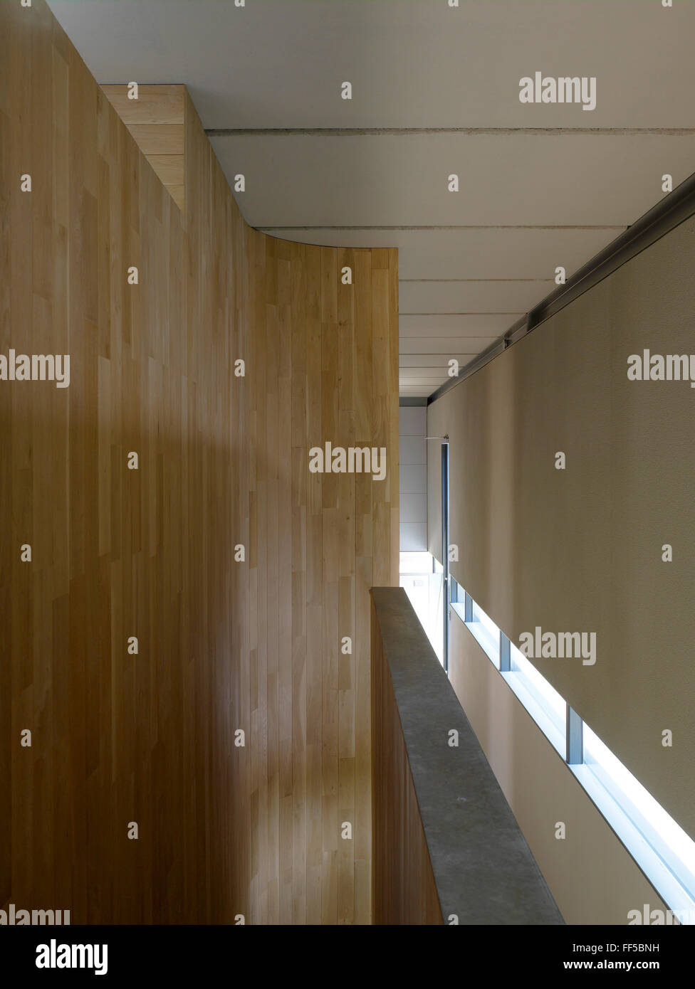 Stairway with curved timber lining. Project X, Almere, Netherlands ...