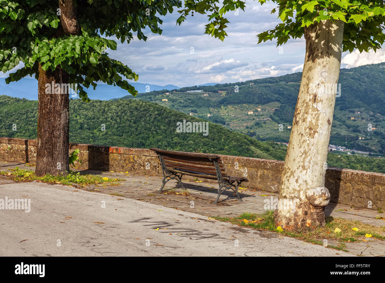 Landscape with bench Stock Photo - Alamy