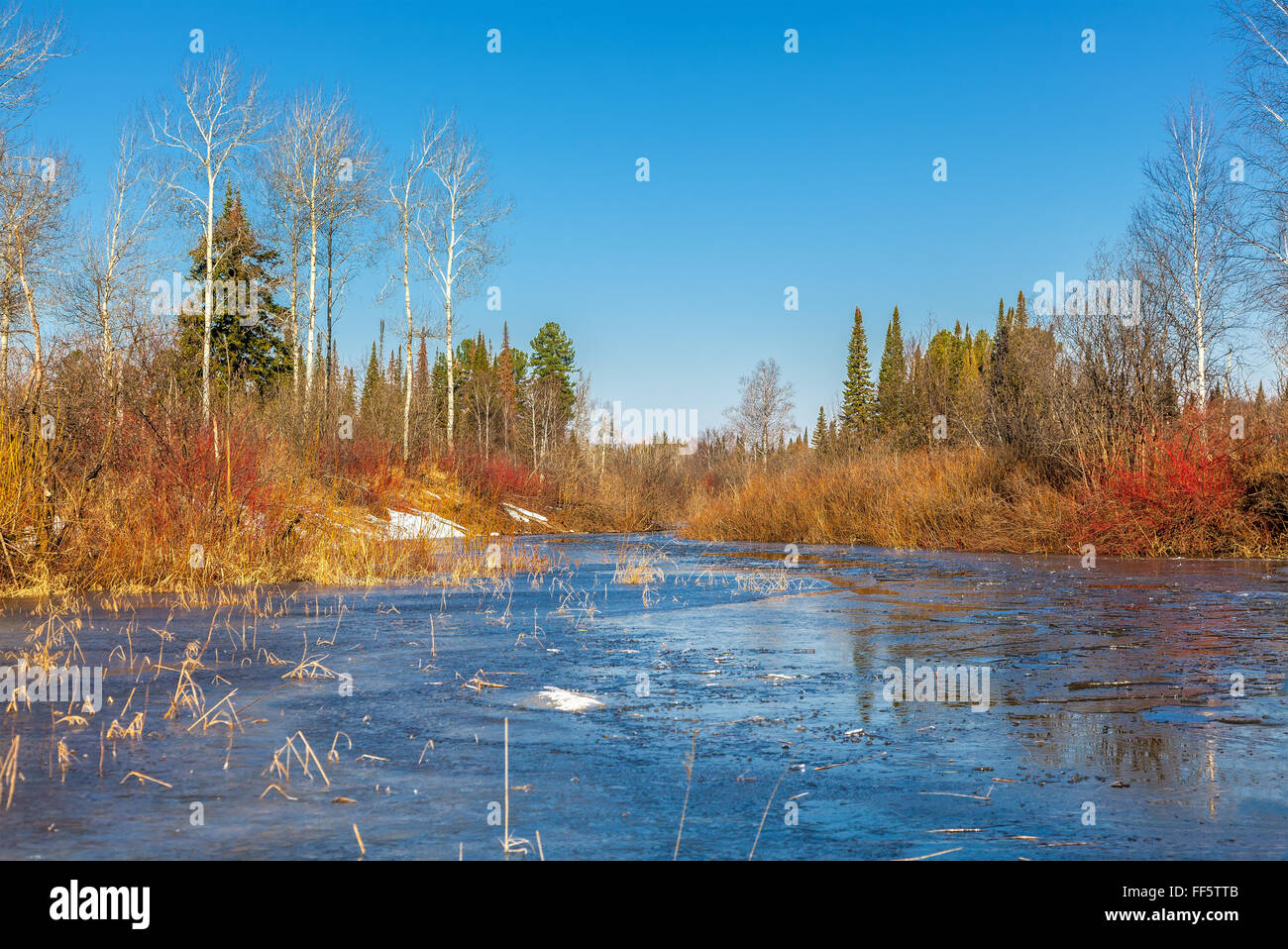 Spring Siberian landscape Stock Photo - Alamy