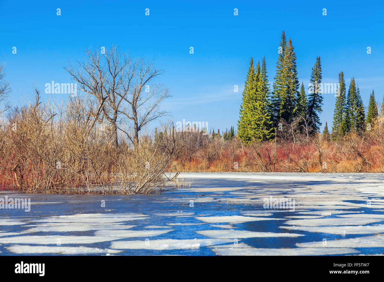 Spring morning in Siberia Stock Photo - Alamy