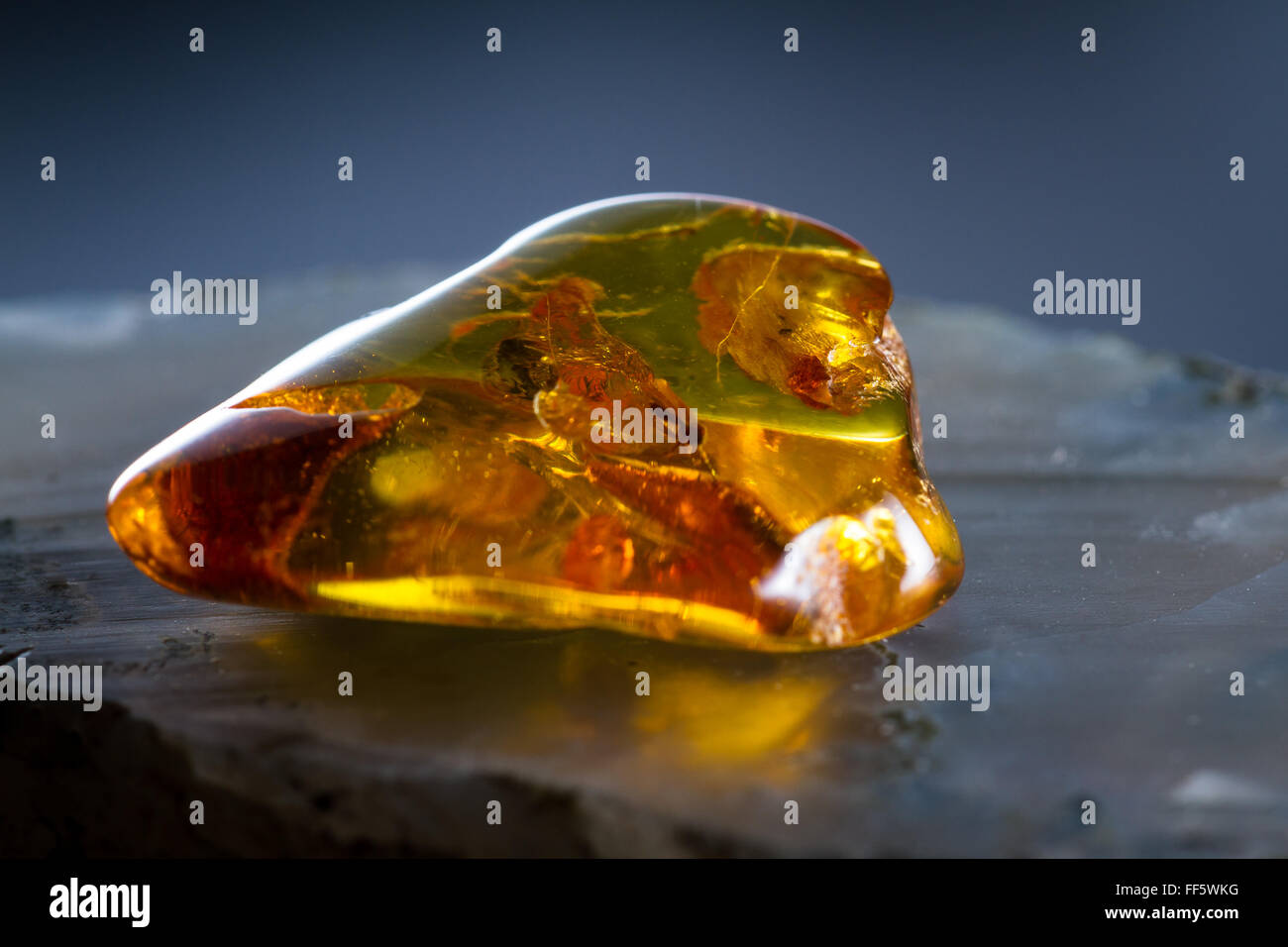 close up of a piece of amber preserving a piece of history inside Stock ...