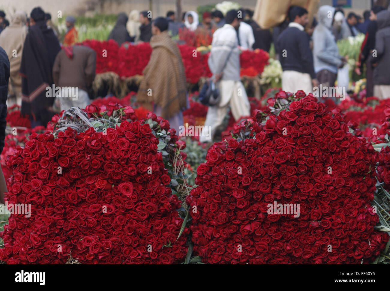 Pakistani flower vendor display fresh roses and garlands to attract the ...